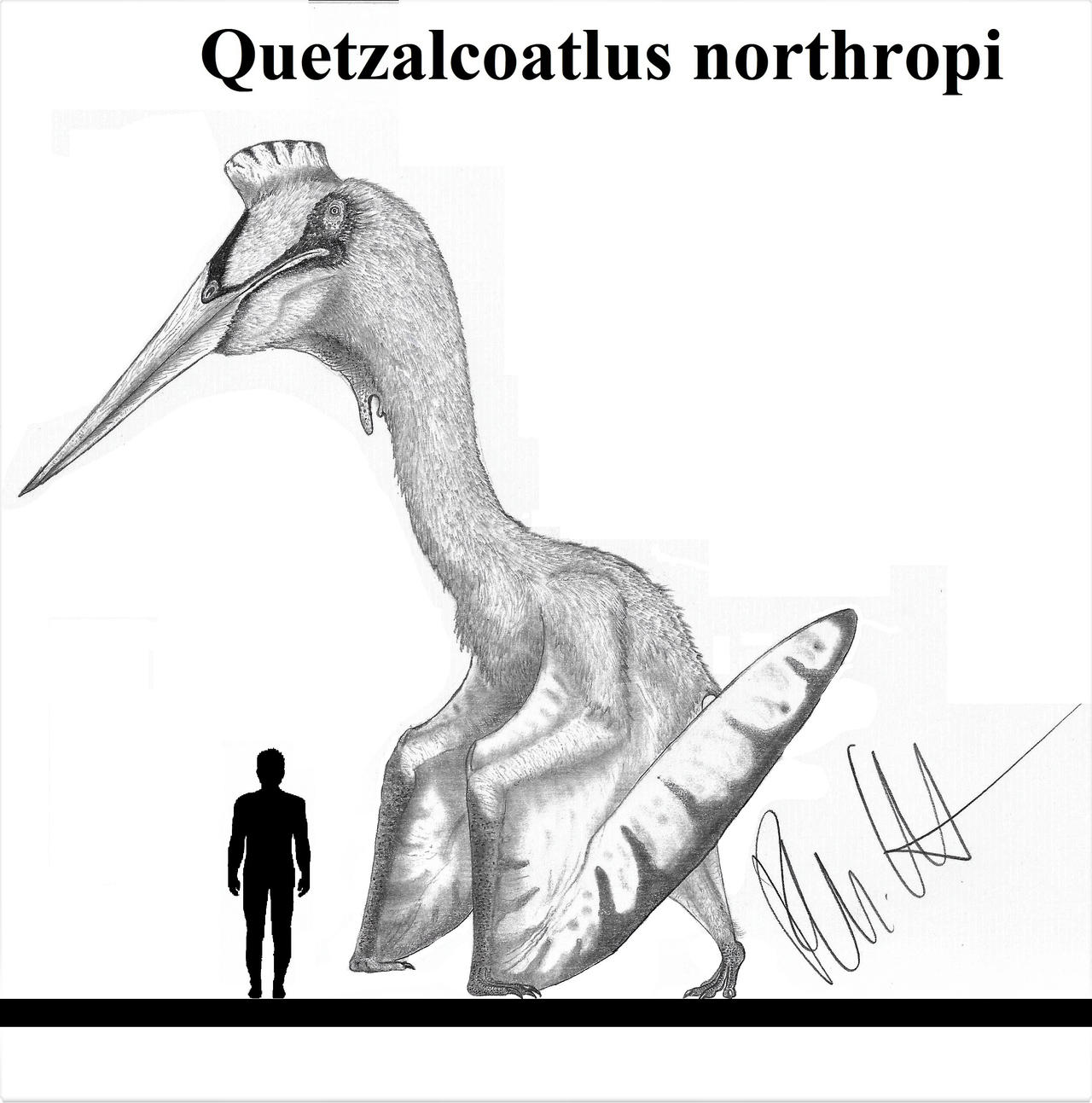 Les dinosaures de Jurassic World Dominion - Jurassic-Park.fr | Tout sur ...