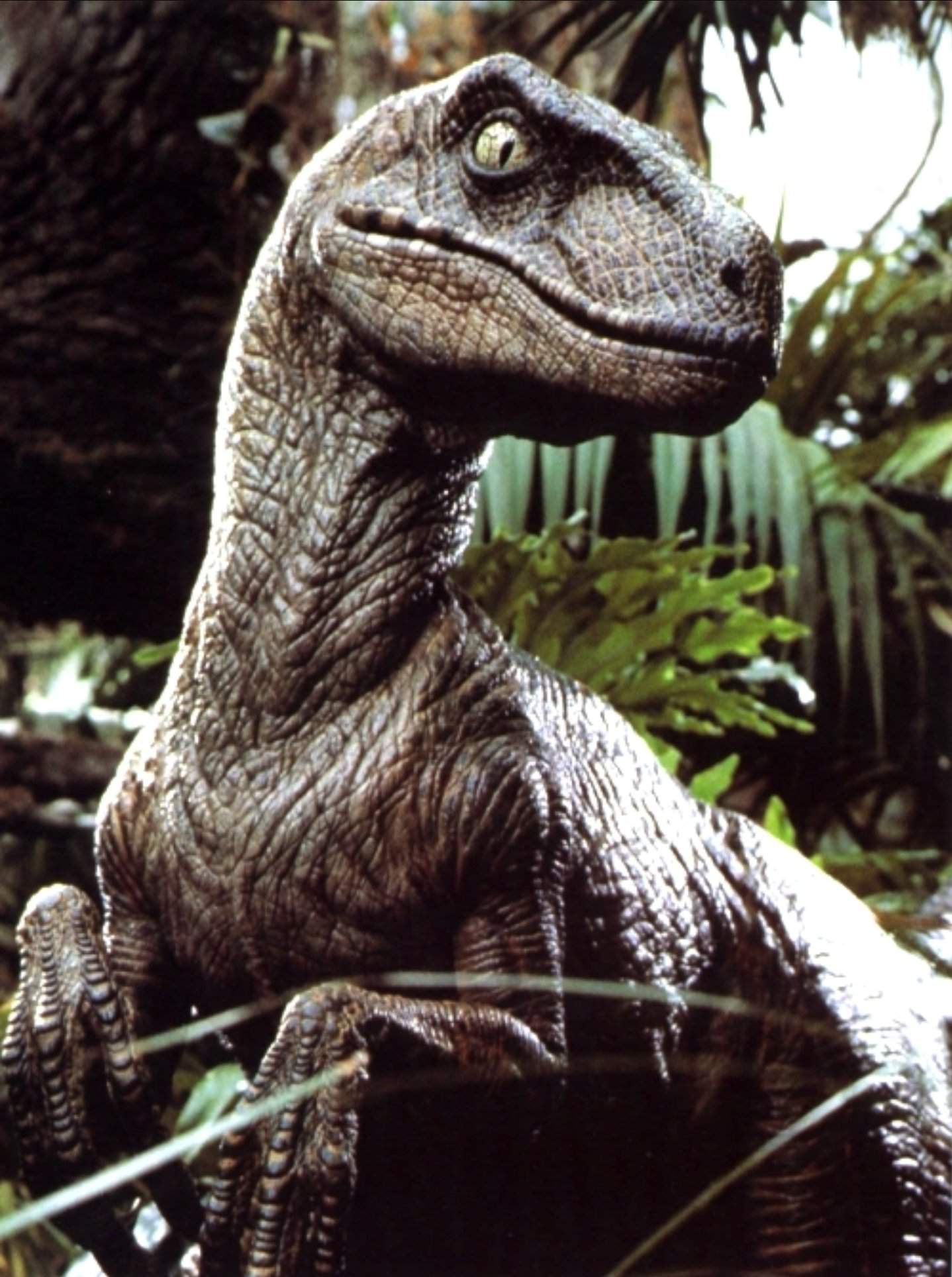 Les Dinosaures de "Jurassic Park" - Jurassic-Park.fr | Tout sur la saga ...